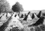 Siegfried Line Nazi Germanys Western Defense