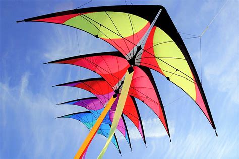 KITE STYLES Kite Parade