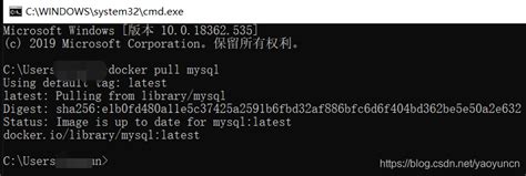 使用docker Desktop For Windows安装mysqllatest并持久化mysql数据至windows的文件夹下docker Mysqllast Csdn博客