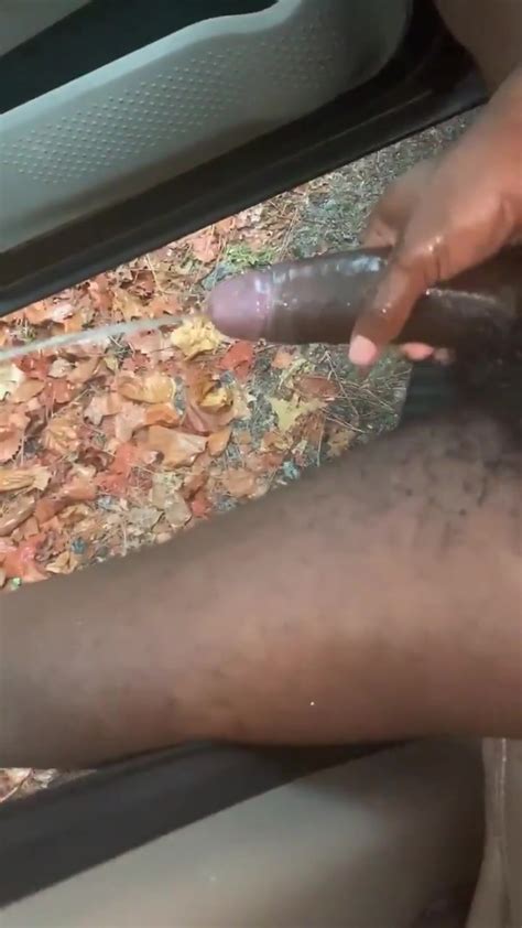 Pissing Out Of Car Thisvid Com