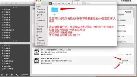 关于黑苹果的efi该如何的配置和config configuration工具的使用 苹果系统下挂载加载uefi csdn博客