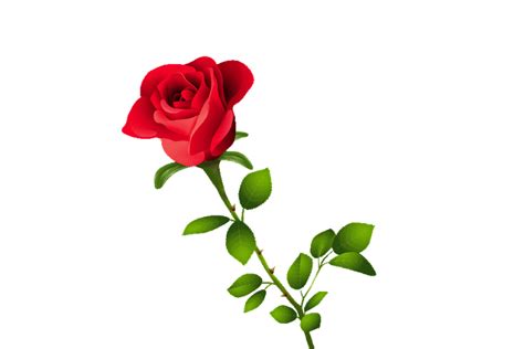 400 free flower and flora animated s and stickers pixabay