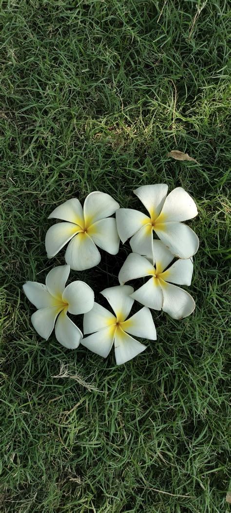 Sakshi Jagtap On Linkedin Love