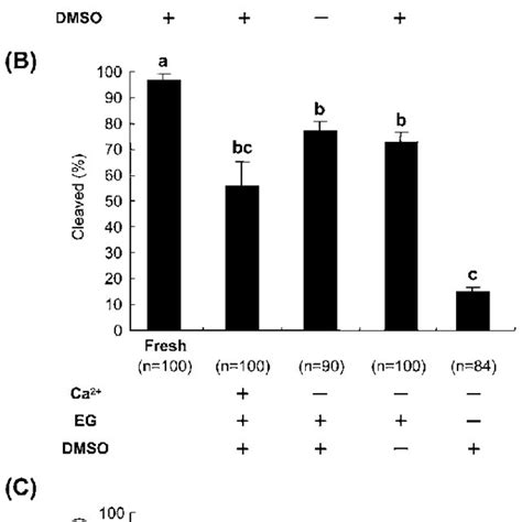 The Survival And Developmental Ability Of Rat Oocytes Vitrified Using