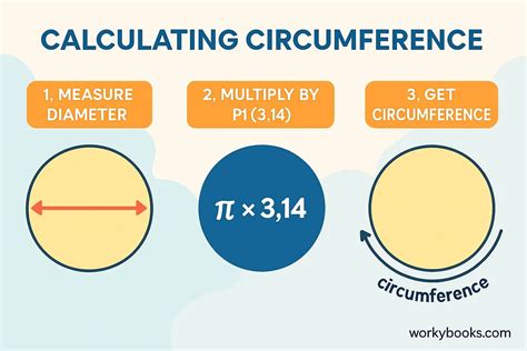 Circumference Formula Definition Examples Quiz FAQ Trivia