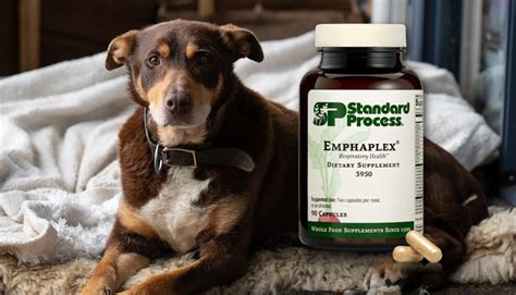Emphaplex® For Dogs By Standard Process Lung Care And Prevention