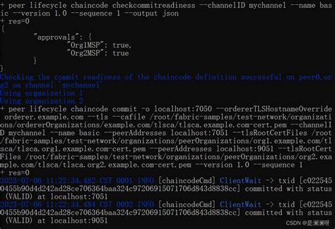 hyperledger fabric测试网络运行官方java链码[简约版] java链码的asset csdn博客