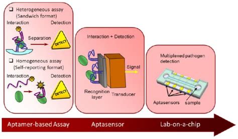 Chemosensors Mdpi On Linkedin Review Openaccess Nanomaterials