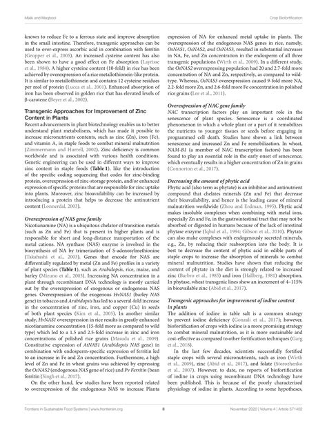 Transgenic Crops For Biofortificationpdf