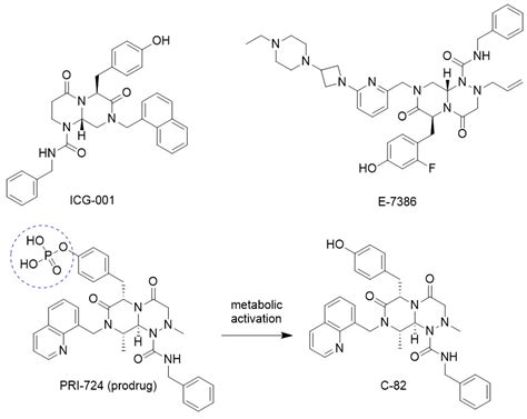 Targeting Cbp And P300 Emerging Anticancer Agents