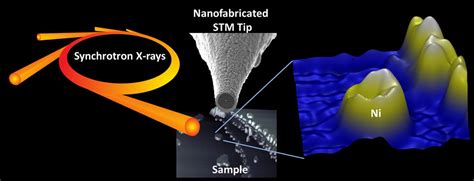 Scanning Tunneling Microscope Dna