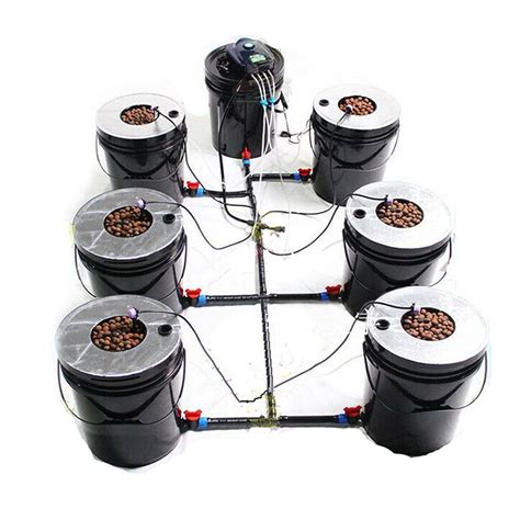 Dwc Bucket System Setup Installation Food Forest Design Minnesota