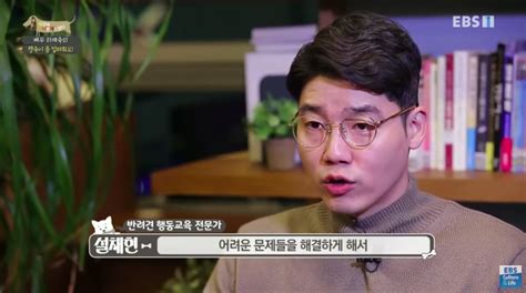 이슈유머 보더콜리 키우고싶을 때마다 보는 짤
