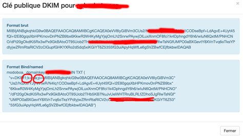 problem with dkim signature for bind · issue 1675 · modoboa modoboa