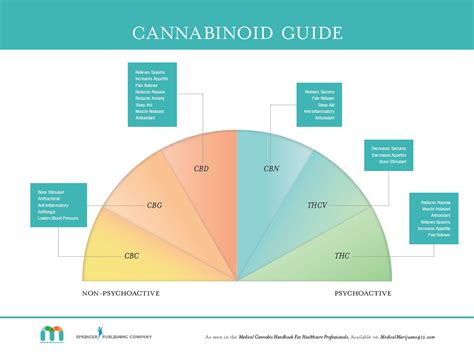 Cannabinoid Guide Medical Cannabis Infographic Poster Etsy
