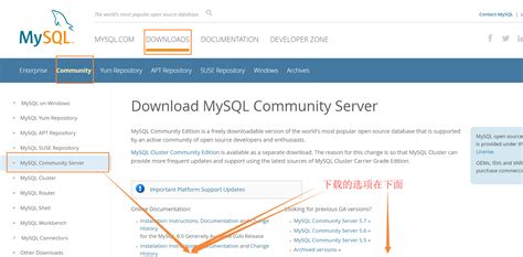 phpstudy的mysql版本升级至5 7 为牧 博客园