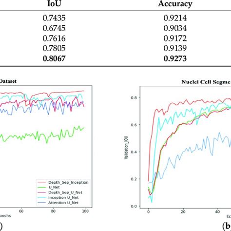 Performance Evaluations Of The Segmentation Models On The Nuclei Cell