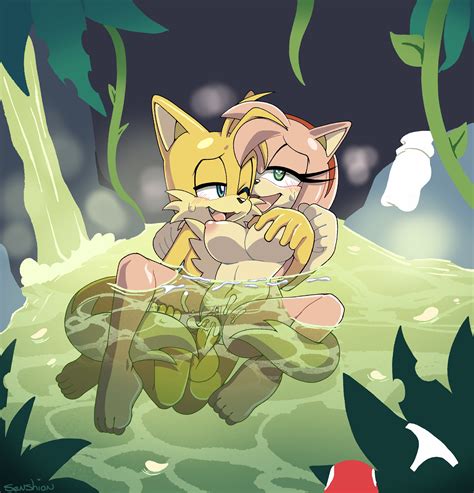 Senshionart Amy Rose Tails Sonic Sonic Series Absurdres