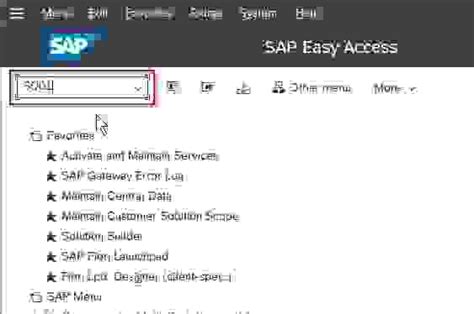How To Maintain Sap Query In Different Languages