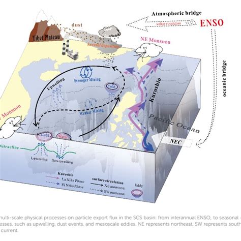 Pdf Biological Carbon Pump Responses To Multiscale Physical Processes A Review Of Sediment