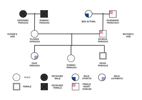 Example Of 3 Generation Genogram Singaporefeti