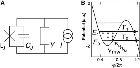 Quantum Dynamics Of A D Wave Josephson Junction Science
