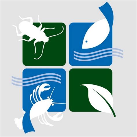 Invading Species Awareness Program Youtube