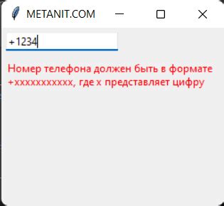 Python Tkinter Entry Delete