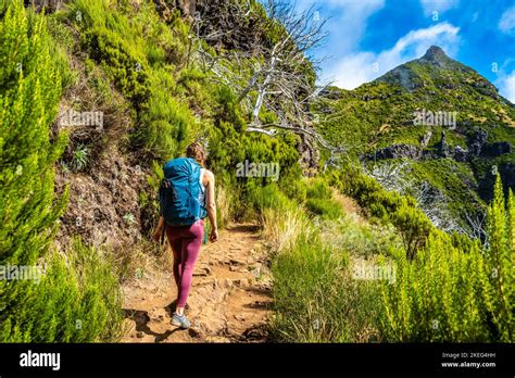 Description Woman Hiker With Backpack Walking Through A Forest Of Dead Trees At Noon Pico Do