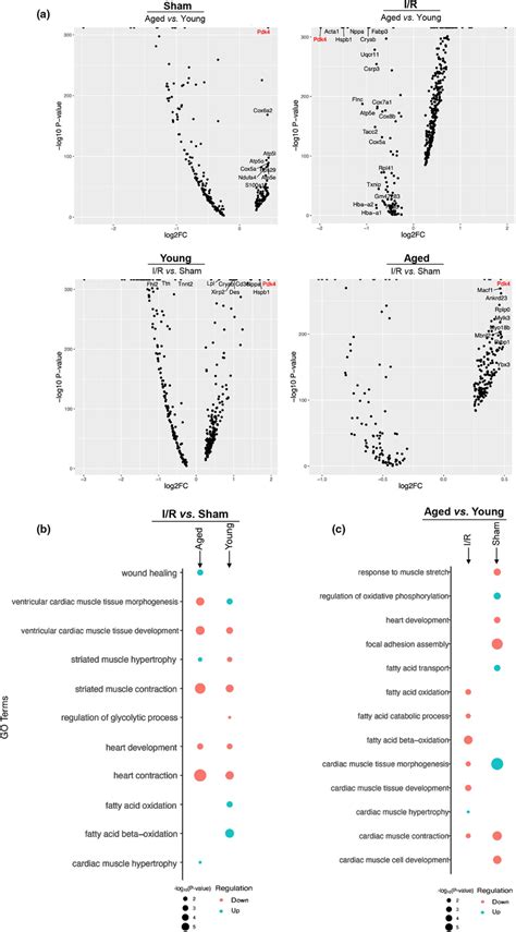 Differential Expression Testing A Differentially Expressed Features Download Scientific