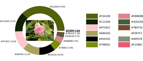 Image Color Extraction With Python In 4 Steps By Boriharn K Towards Data Science
