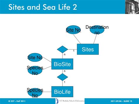 Ppt Database Design Conceptual Model Cont And Uml Powerpoint Presentation Id 1502155