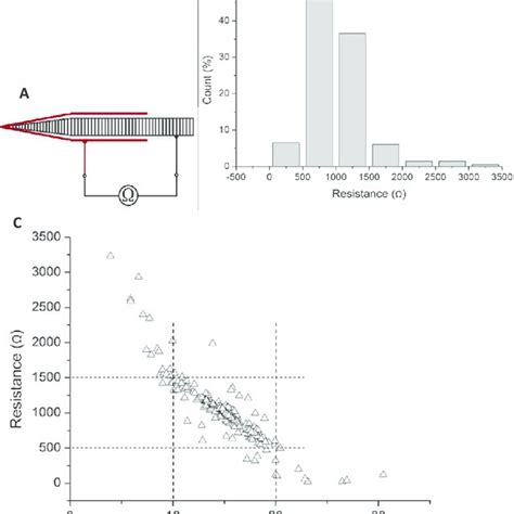 The Scheme Of TMP With Three Layers Grey Red And Blue Indicate Download Scientific Diagram