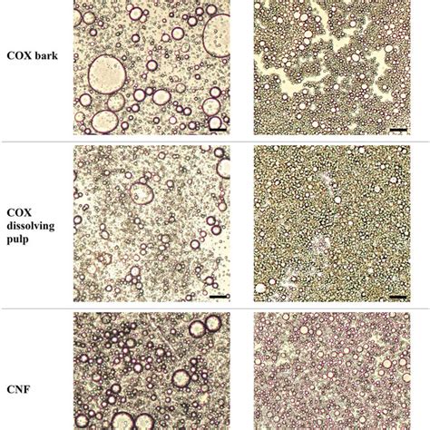 Simplified Reaction Scheme Of The Fischer Esterification Reaction