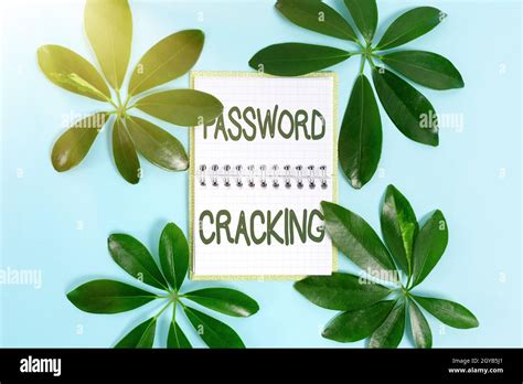Conceptual Caption Password Cracking Business Concept Measures Used To Discover Computer