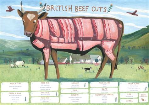Beef Cuts Poster For Meat Lovers