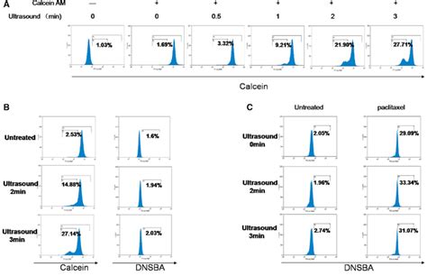 Analysis Of Dnsba Label In Cell Membrane Permeability Enhanced Model A Download Scientific