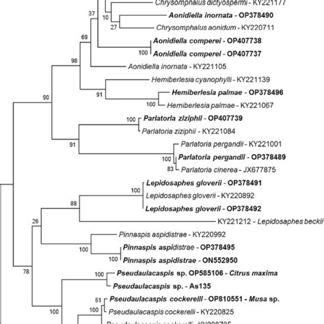 tree with the highest log likelihood 8530 8 derived from maximum