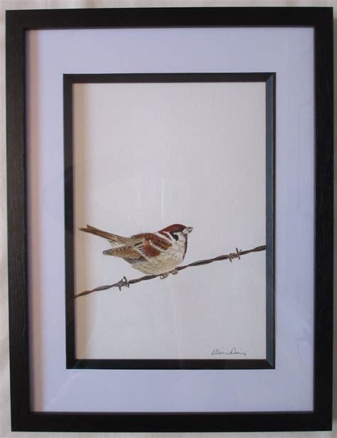 Tree Sparrow By Olivia Davies