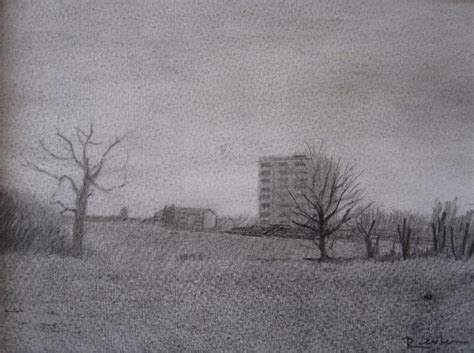 Playing Fields Forward Gallery