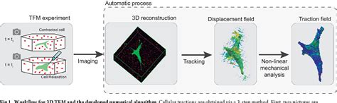 Figure 3 From A New 3d Finite Element Based Approach For Computing Cell