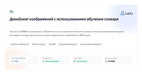 Денойзинг изображений Обучение словаря Лицо浣熊 labex