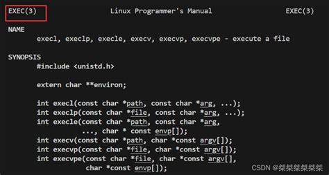 Linux Shell Ew