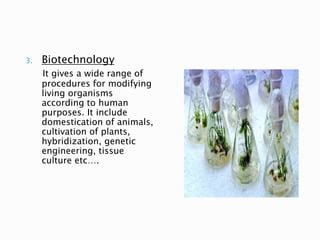 Bioinformatics PPT