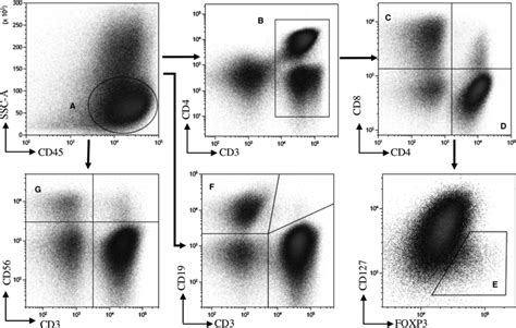 Gating Strategy For Analysis Of Lymphocyte Subpopulations Gating Of
