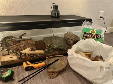 First Time Owners Ball Python Kit Rorangecounty
