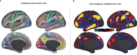 Challenges And Future Directions For Representations Of Functional