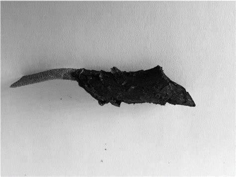 Preparation Method For Nickel Sulfidegraphenecarbon Nano Tubecobalt