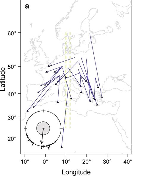 Figure 2 Migration Patterns Of Hoopoe Upupa Epops And