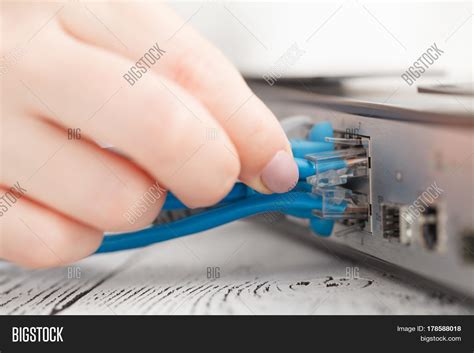 Insert Network Patch Image Photo Free Trial Bigstock